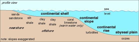 Sedimentary Depositional Environment Sedimentary Depositional Environment