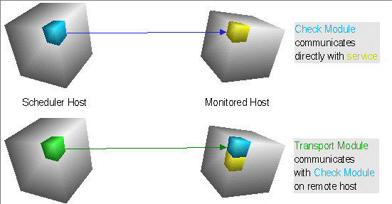 survivor: About Transport Modules