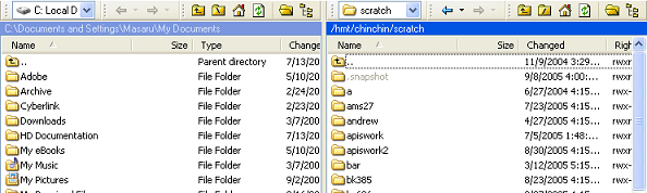 Using WinSCP: The Basics