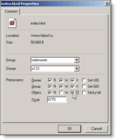 Using WinSCP: The Basics