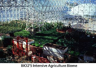 Biosphere Trees