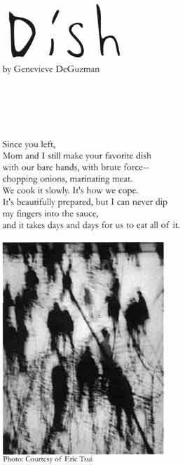 AJ Spring 1999 Edition