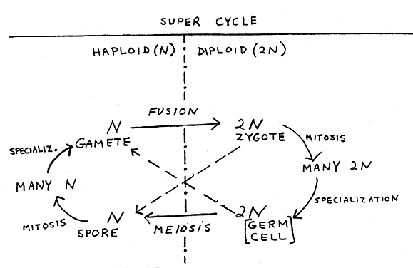 Lecture 20