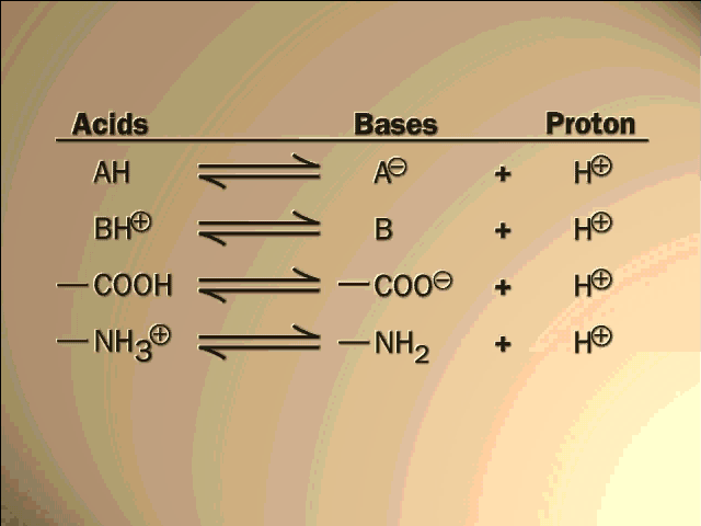 Intro Bio Lec. 2 Columbia University