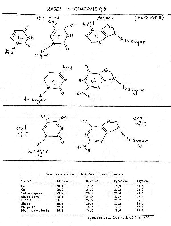 C2005/F2401 '06 Lecture #10