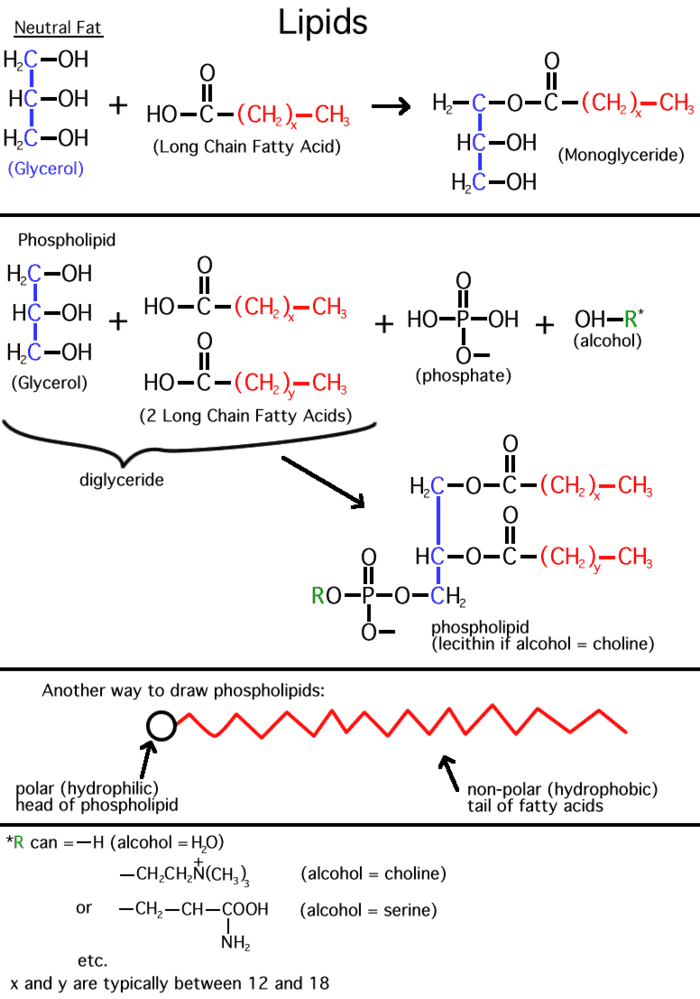 New Page 2 [www.columbia.edu]