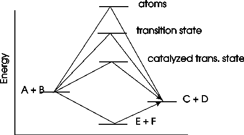 Intro Bio Lec. 8 Columbia University