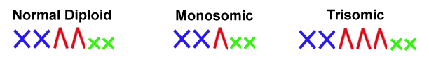 Monosomy Vs Trisomy