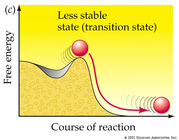 One of the most famous examples