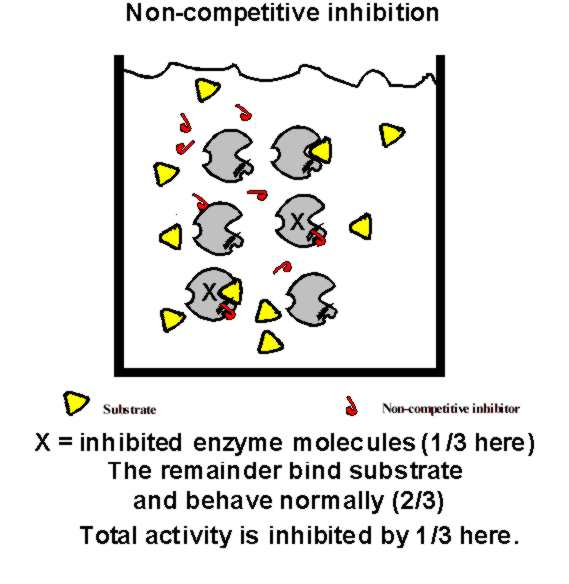 Intro Bio Lec. 7 Columbia University