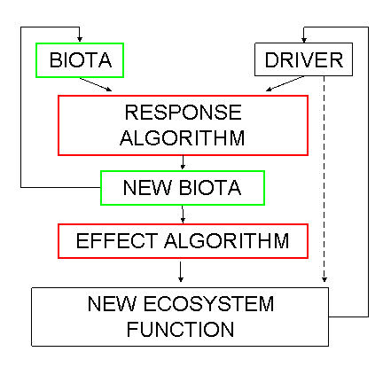 Bio.M.E.R.G.E. Workshop I :: Biodiversity and Ecosystem Function ...