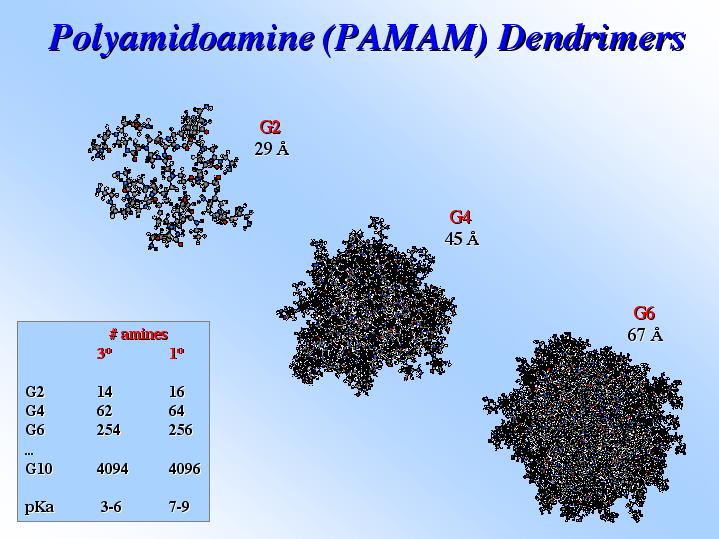 Slide 2: Polyamidoamine (PAMAM) Dendrimers