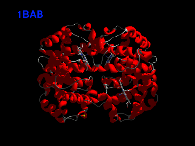 Biophysical Chemistry G4170: Protein Visualization