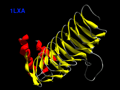 Biophysical Chemistry G4170: Protein Visualization