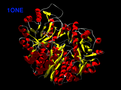 Biophysical Chemistry G4170: Protein Visualization