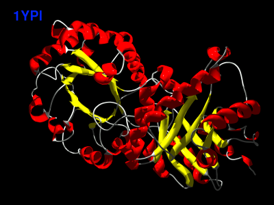 Biophysical Chemistry G4170: Protein Visualization