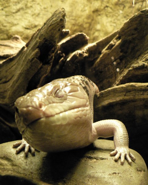 Columbia University Environmental Biology Society - Photos