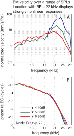 Columbia University Department of Otolaryngology: Fowler Memorial ...