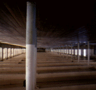 Building Systems I