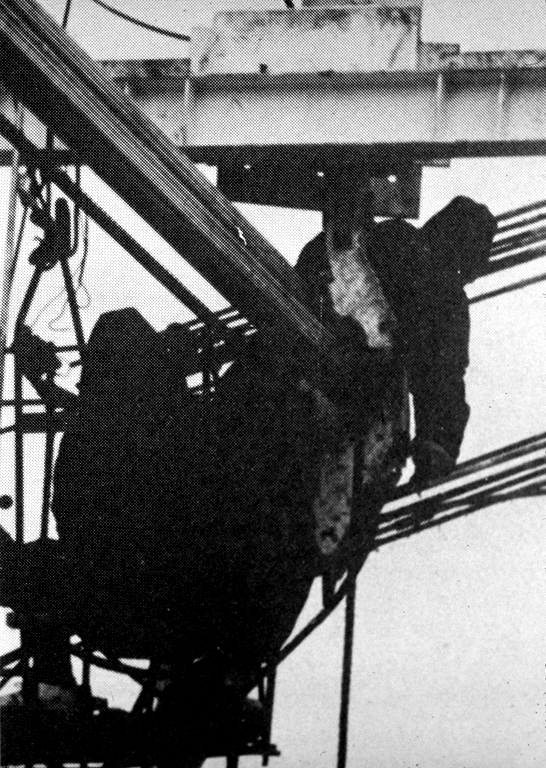 Design and Construction of Cable Domes, Seoul