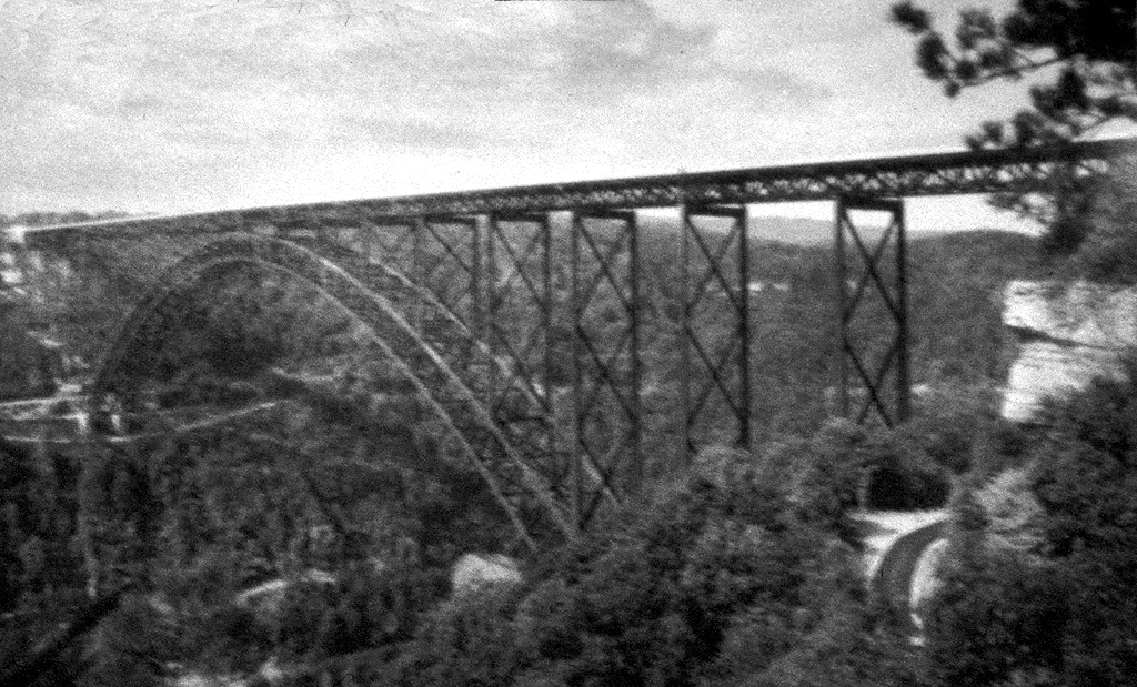 Technical and Aesthetic Elegance in Long Span Bridges