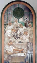 Modern Surgery and Anesthesia Slideshow