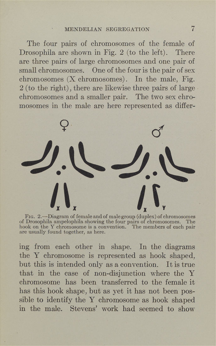 Columbia University Libraries: The mechanism of Mendelian heredity