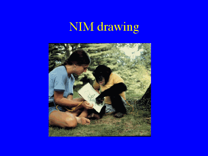 NIM drawing