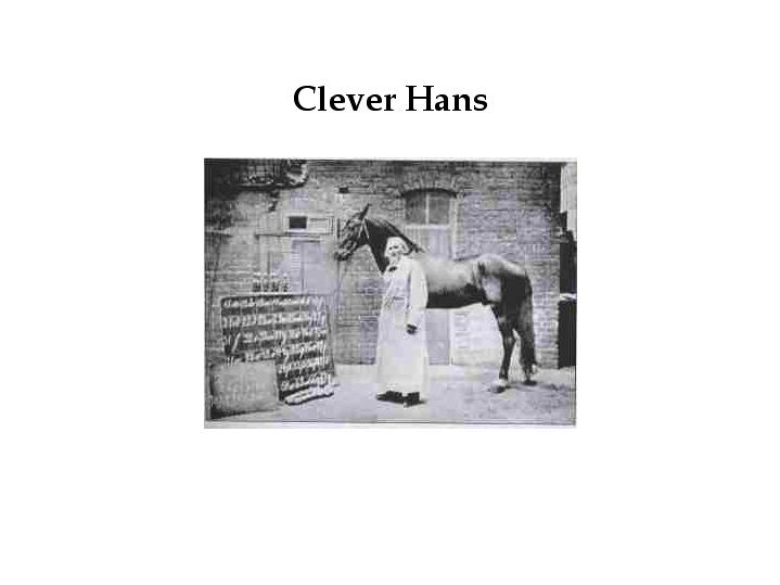 Clever Hans
