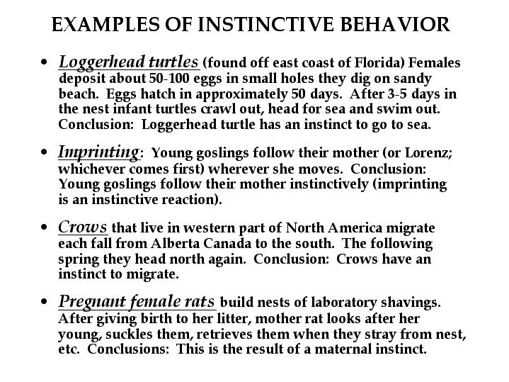 EXAMPLES OF INSTINCTIVE BEHAVIOR