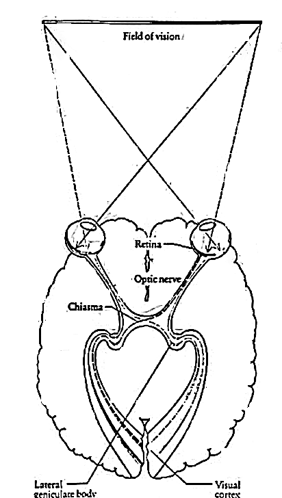Lecture 9C Overheads