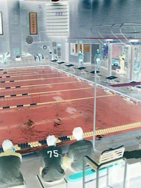 Columbia Men's Swimming: Gallery