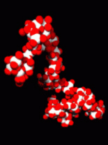 Physical Chemistry Homepage