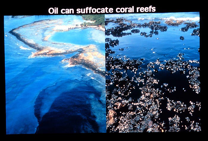 Coral Reefs: Past, Present and Future
