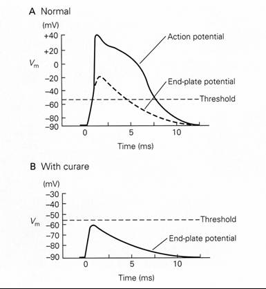 Reversal potential