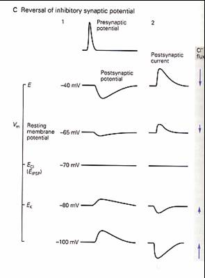 Reversal potential