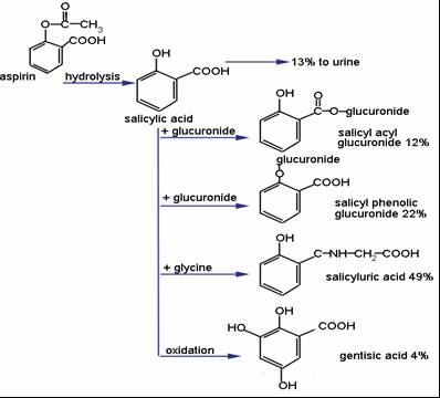 Pharmacology Lecture 2