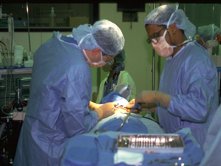 PowerPoint Presentation - Preclinical Pediatric Dentistry