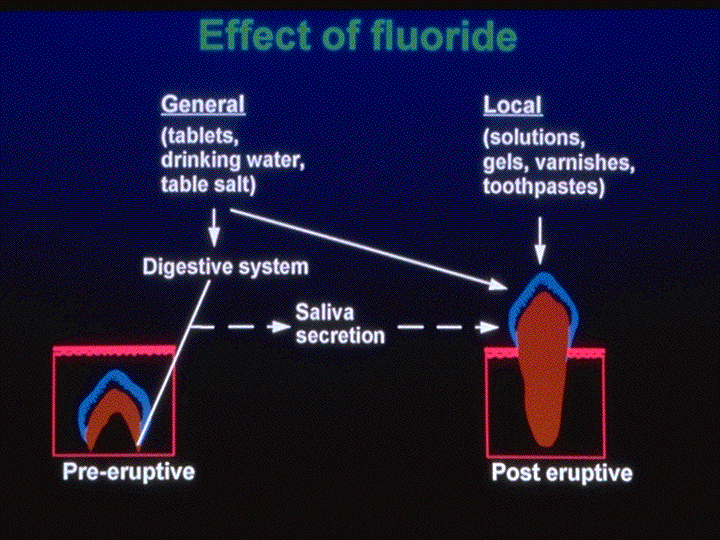 PowerPoint Presentation - Preclinical Pediatric Dentistry