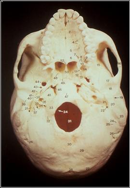 PowerPoint Presentation