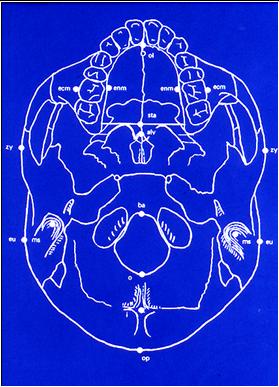 PowerPoint Presentation