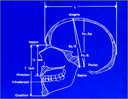 PowerPoint Presentation