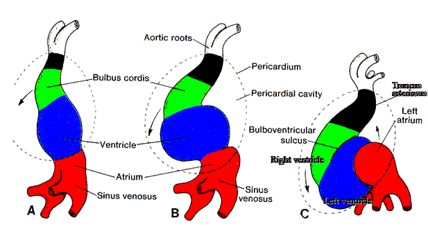 PowerPoint Presentation