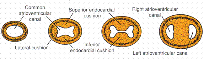 PowerPoint Presentation