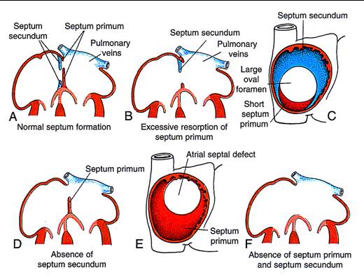 PowerPoint Presentation