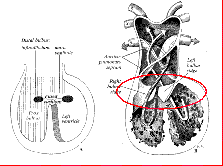 PowerPoint Presentation