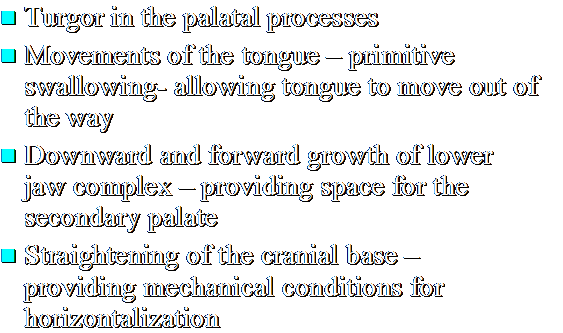Facial and palatal development