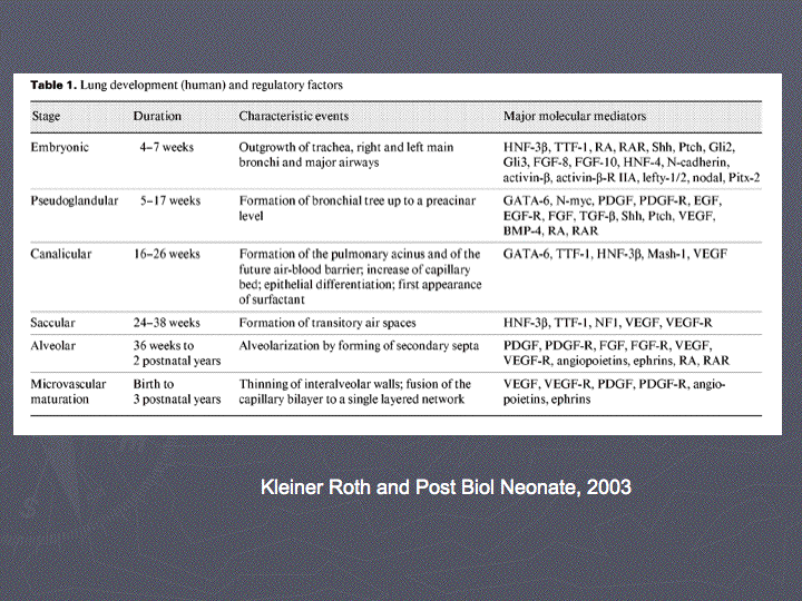 PowerPoint Presentation - Slide 1
