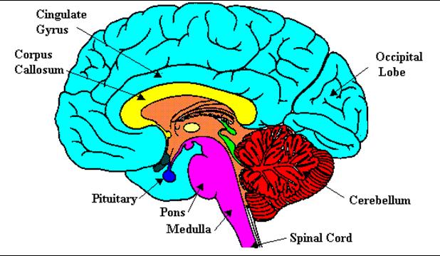 PowerPoint Presentation