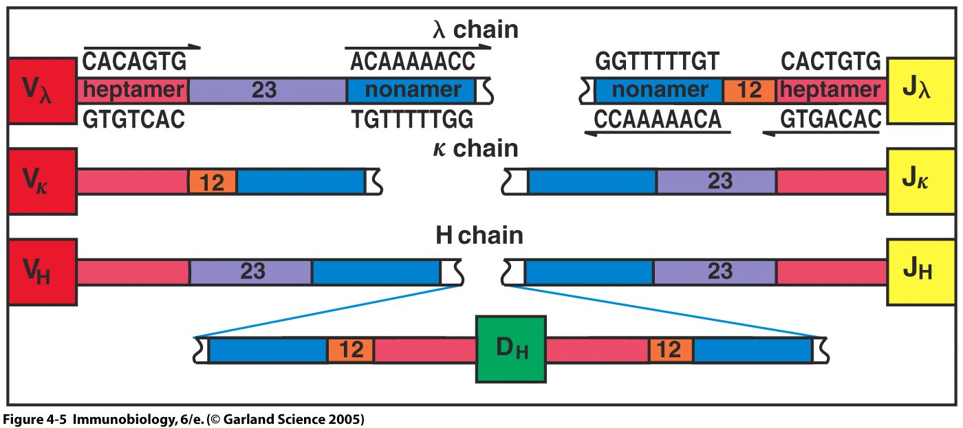 PowerPoint Presentation